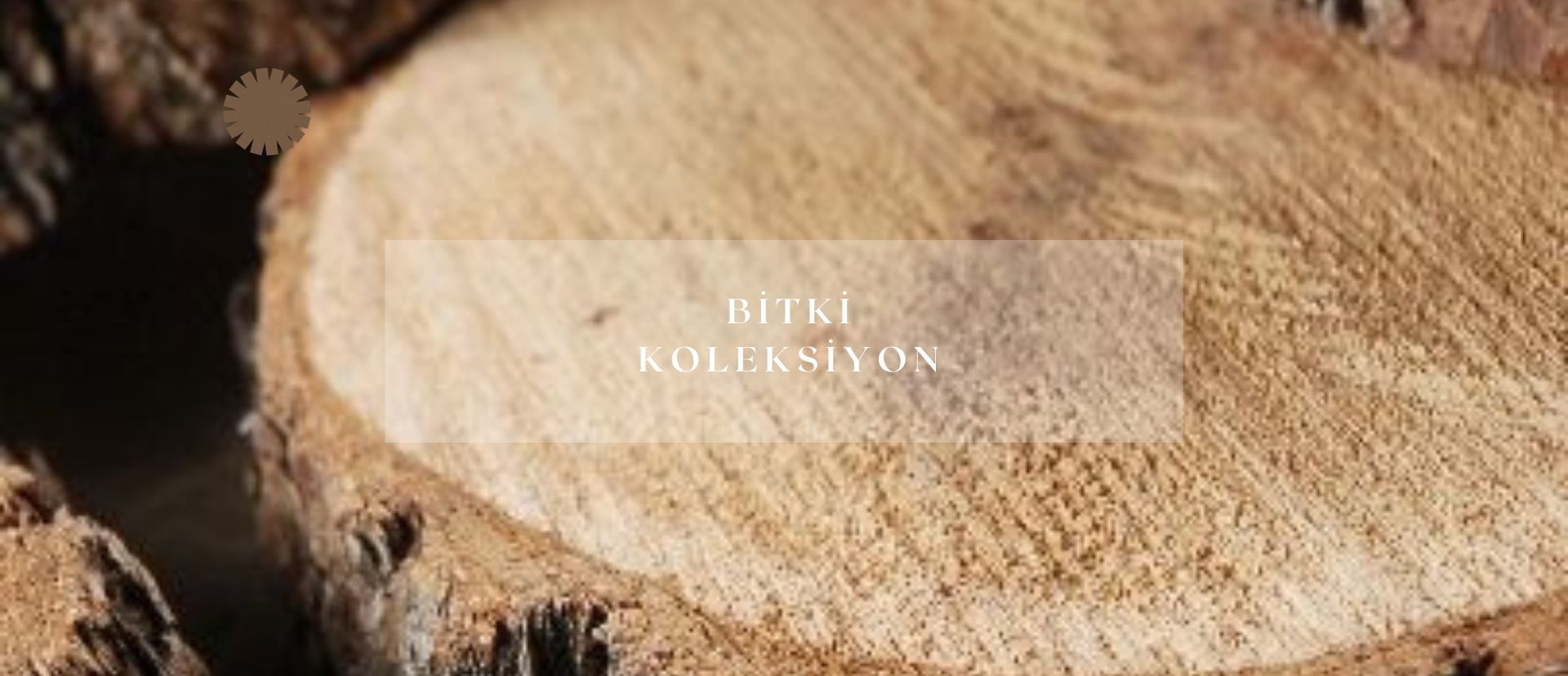 Ana Sayfa | Peony Flower